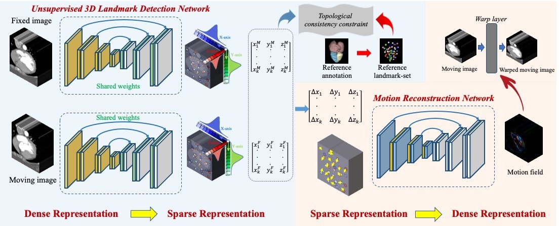 Unsupervised Landmark Detection Based Motion Estimation for Dynamic ...